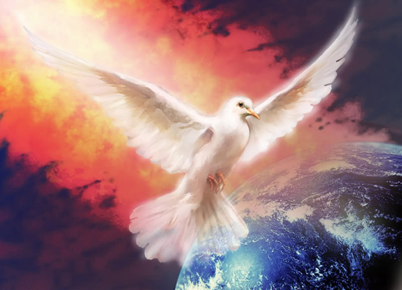 Word for Today: 2011