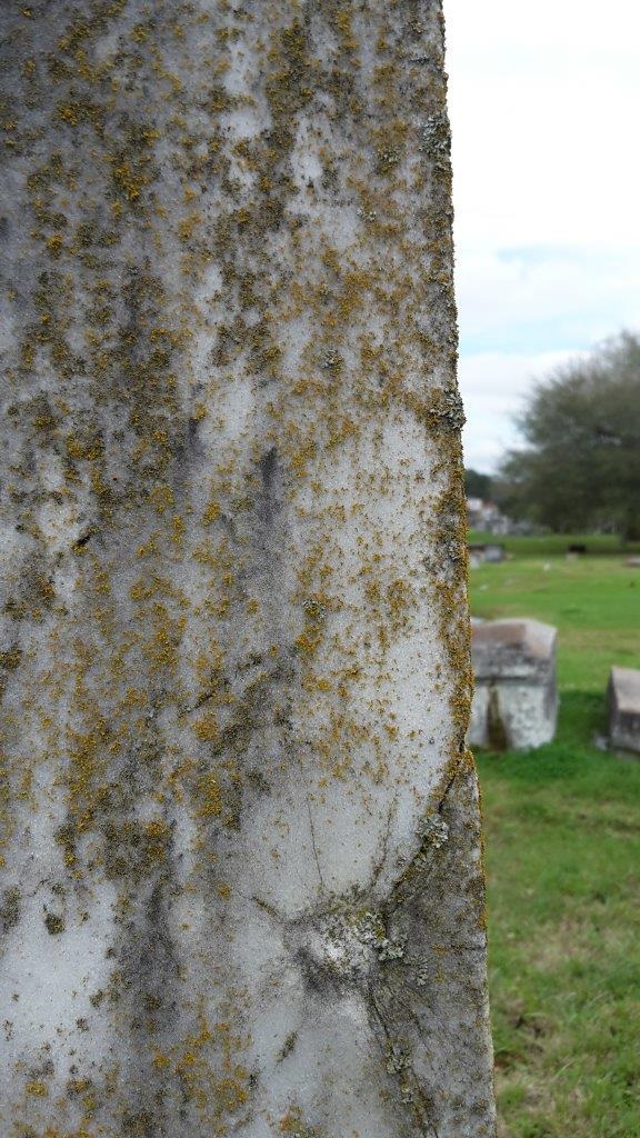 The Civil War Picket: The bullet, ball field and Baton Rouge: Battle ...