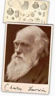 Scientificando: febbraio 2014