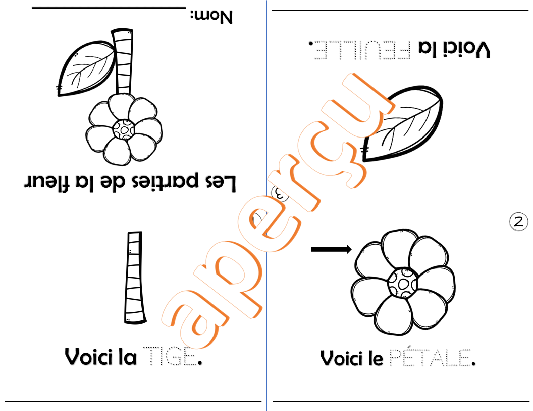 la classe de caro.: Les parties de la fleur - Petit livre et fiche d ...