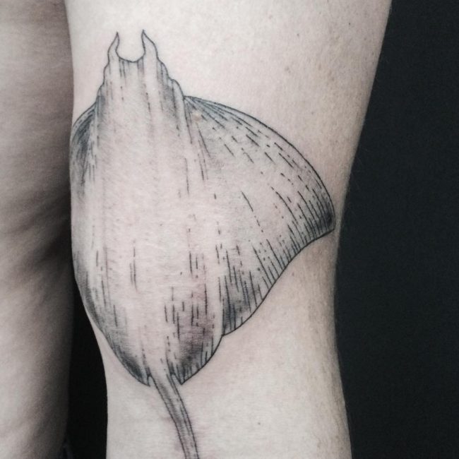 Tatuajes de mantarraya y su Significado