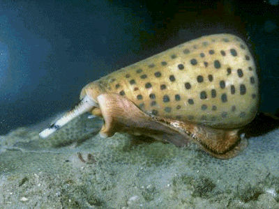 Nona's Random Meanderings: Be afraid, be very … cautious, repectful and ...