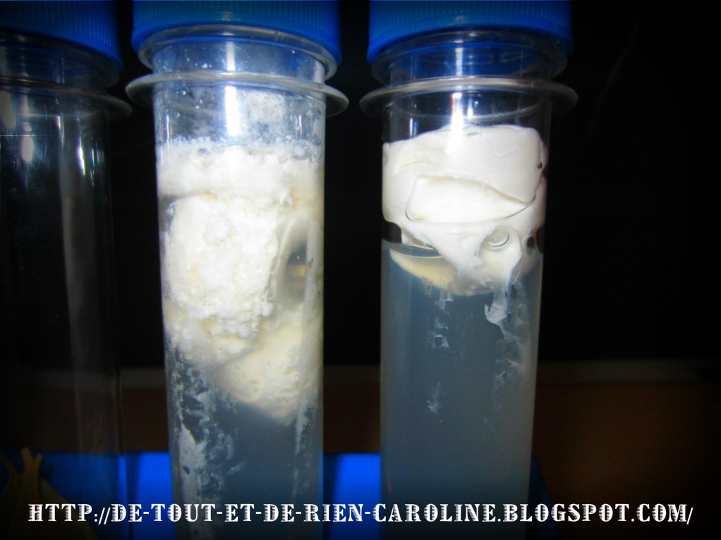 De tout et de rien: Activités pour le Préscolaire: Le caillage du lait ...