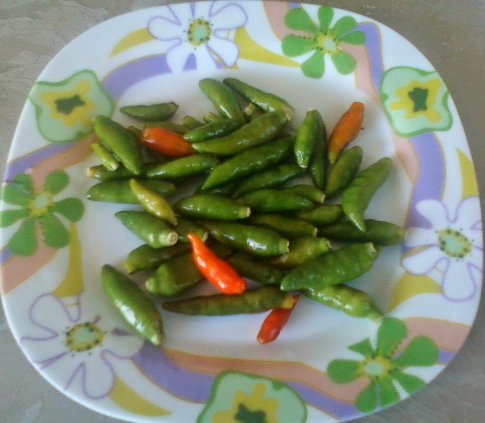 Partager avec plaisir - Recettes de cuisine faciles et idées de ...