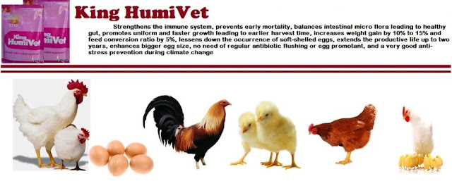 GRAND HUMIVET: The Best Health Routine Supplement (King HumiVet Repackaged)