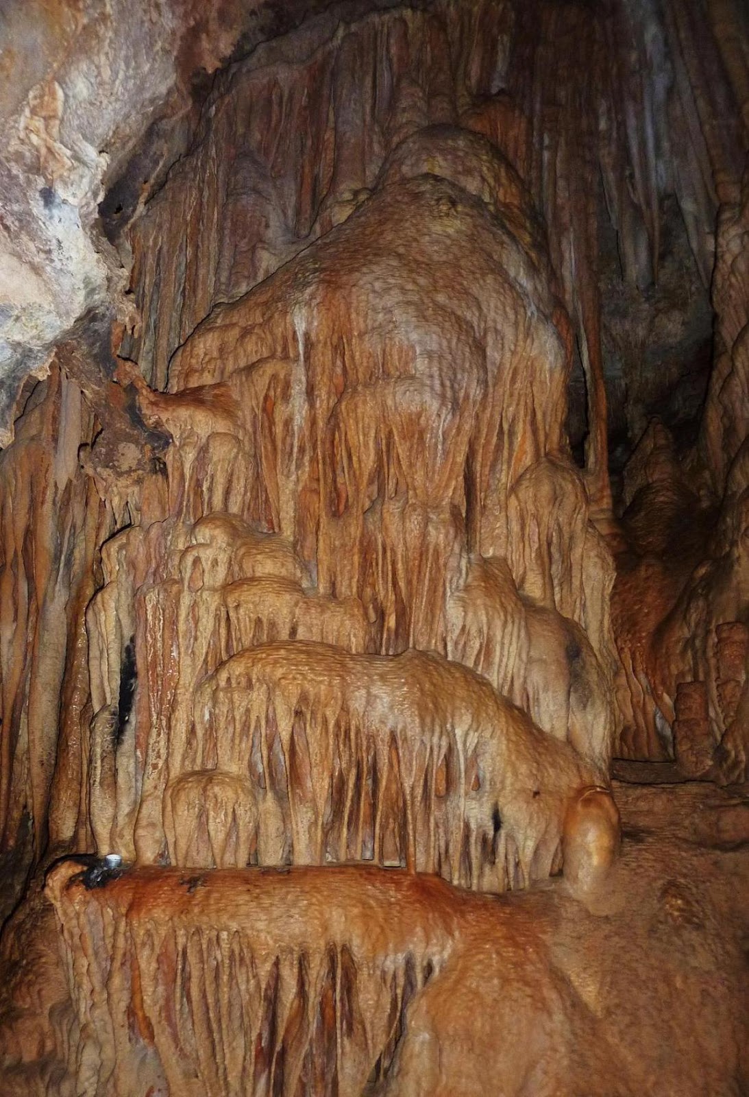 72 - Cova Tancada del cap de Menorca (Alcúdia) 7-7-2013 | Aires de la ...