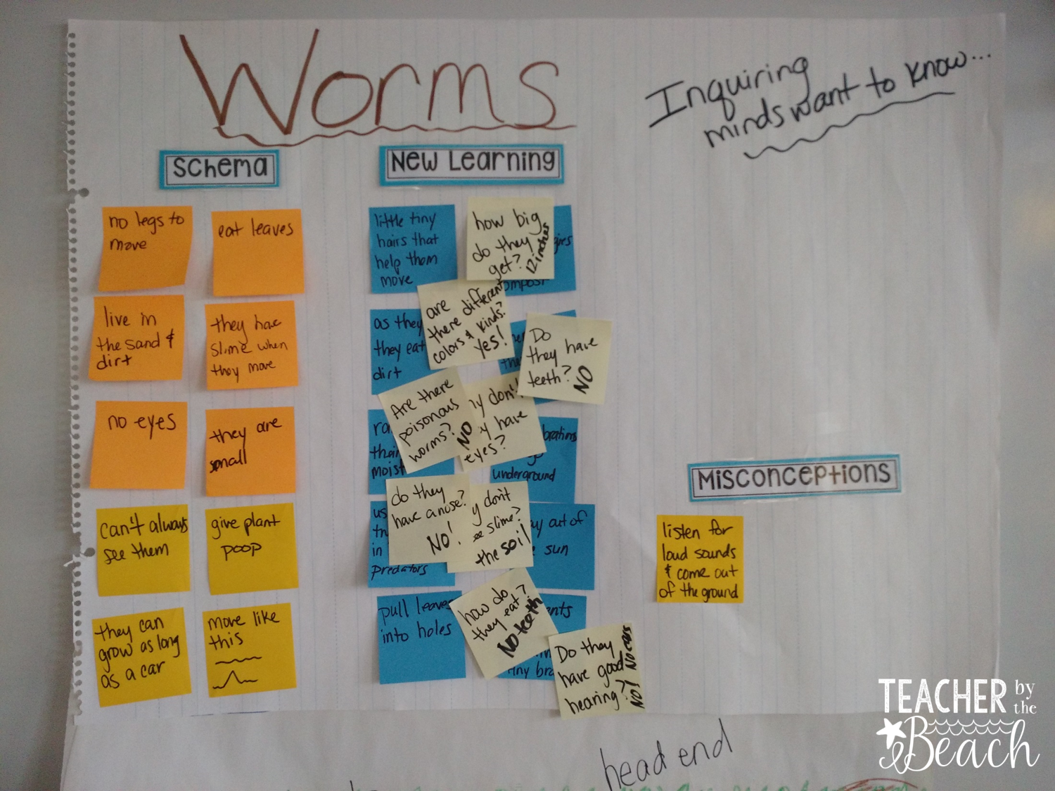 Fun with WORMS! - Teacher by the Beach