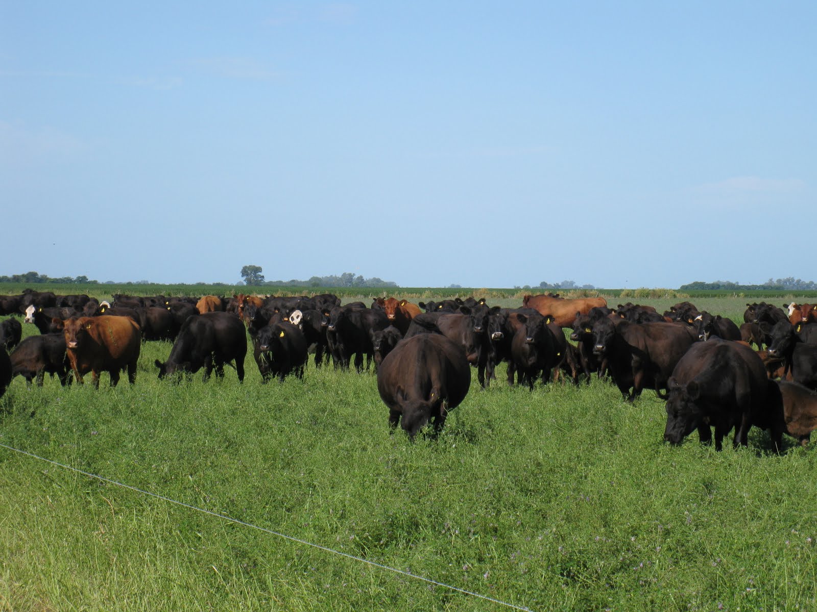 Agropecuaria La Serapia: NOSOTROS
