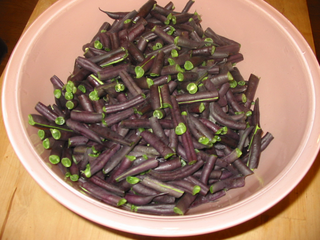 Fitzgerald's Family Farm: Purple Beans