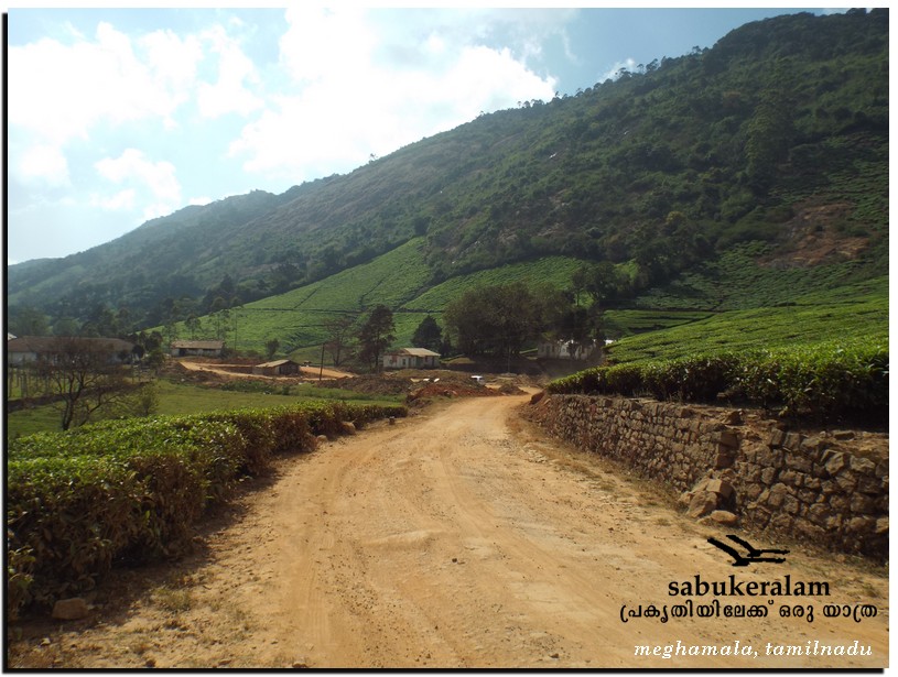 പ്രകൃതിയിലേക്ക് ഒരു യാത്ര (a travel towards NATURE): മേഘങ്ങളിറങ്ങുന്ന ...