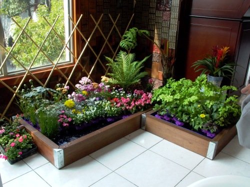 Home Gardening and Landscaping Ideas: How to Do Indoor Gardening