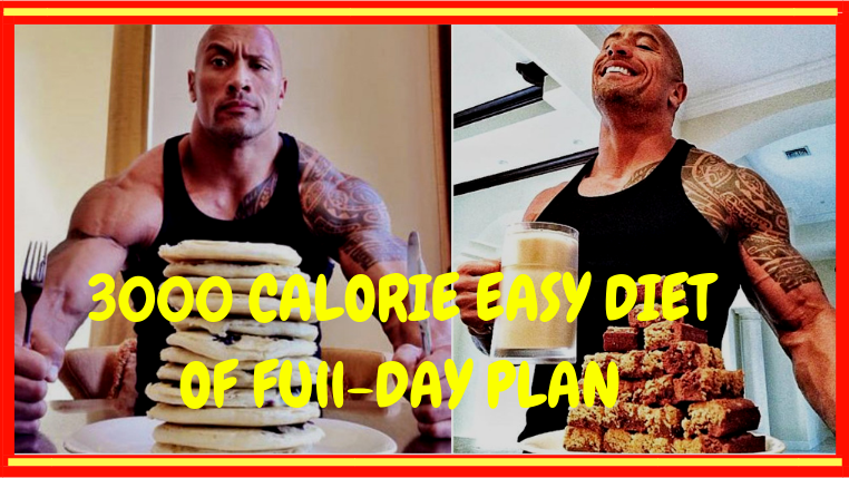 3000 Calories Diet Plan - Bogados