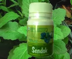 manfaat dan khasiat daging tupai/bajing untuk kesehatan: manfaat dan ...