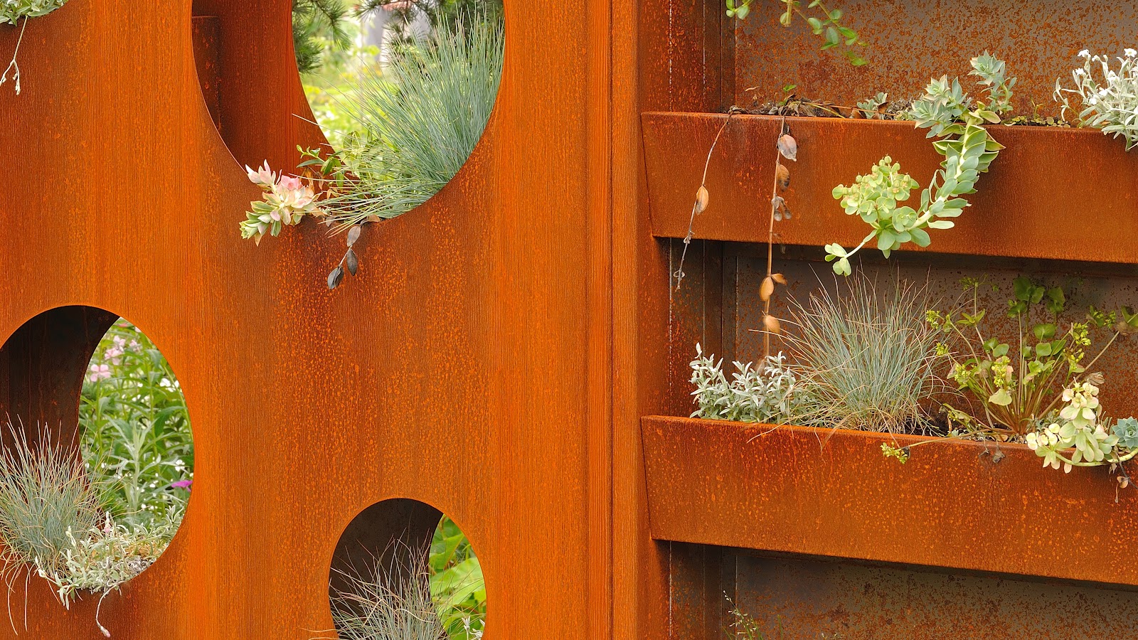 Tuinweetjes: TUINAFSCHEIDINGEN