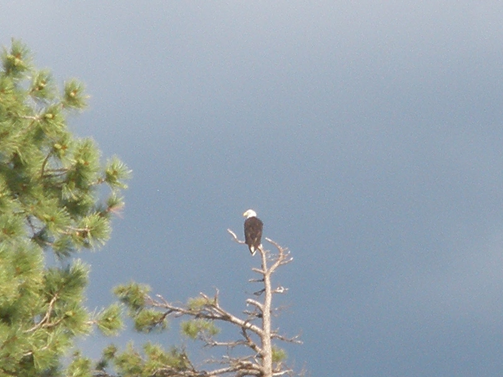 Arizona's Rim Lakes, Sitgreaves National Forest | Truck Camper Adventure