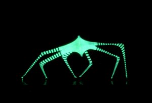 artaboo: MOMIX Moses Pendleton