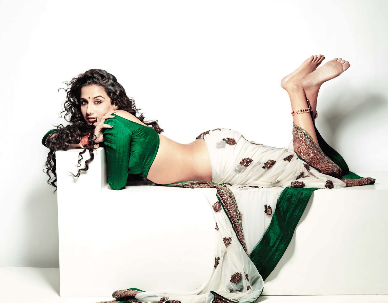 Hot Desi Curves Vidya Balan Hot Sizzling Stills