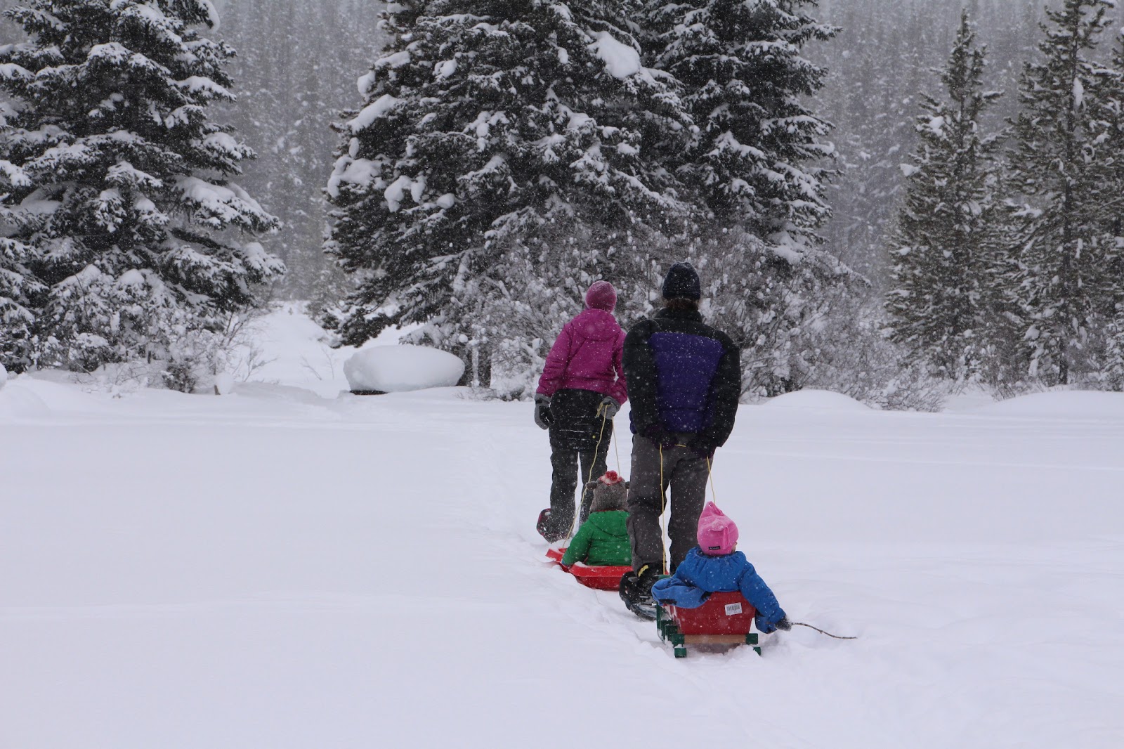 Family Adventures in the Canadian Rockies: How to Choose a Winter ...