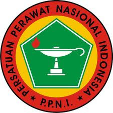 Seputar Informasi Persatuan Perawat Nasional Indonesia: STRUKTUR PPNI ...