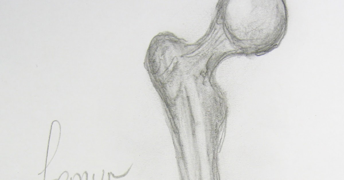 Biological drawings, the good, bad and ugly!