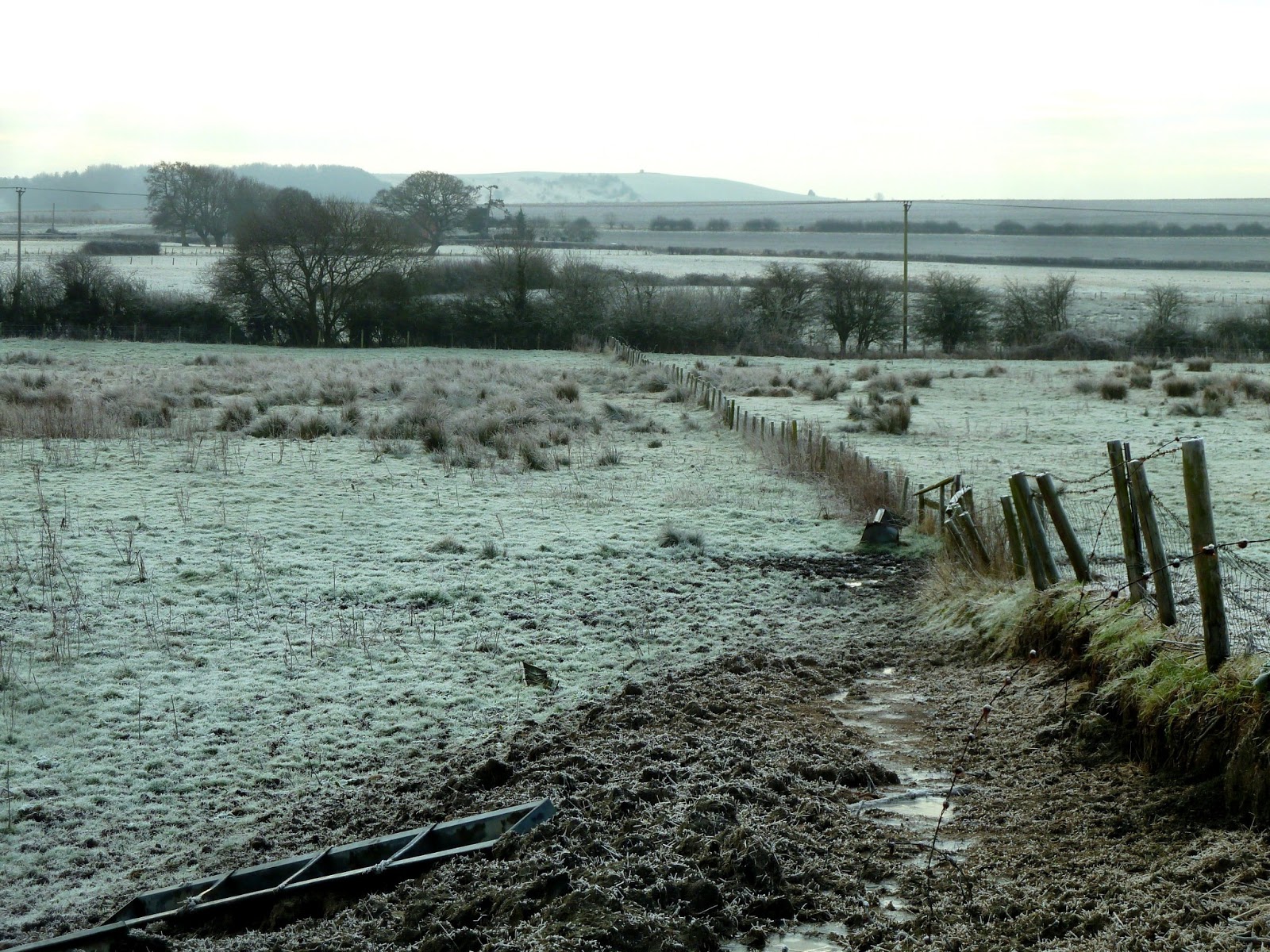 Devizes Days in Words and Pictures 2015: January 2013