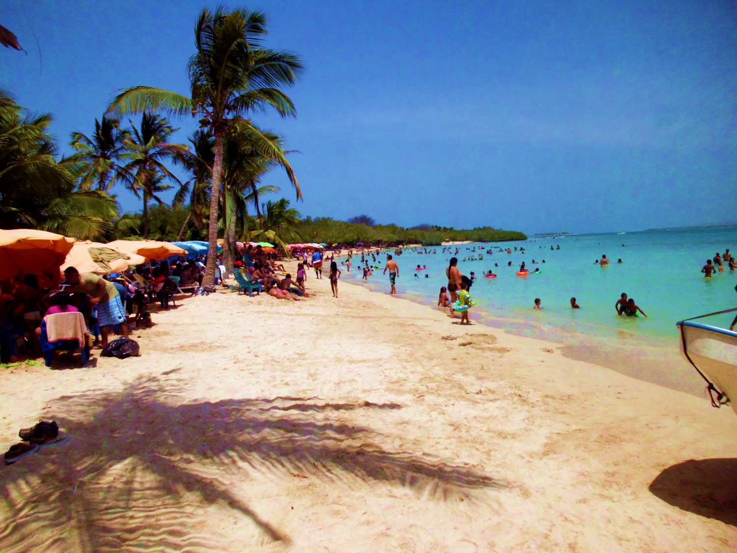 Chichiriviche al día IDC: Lo Mas Impresionate de Cayo Sal en el Parque ...