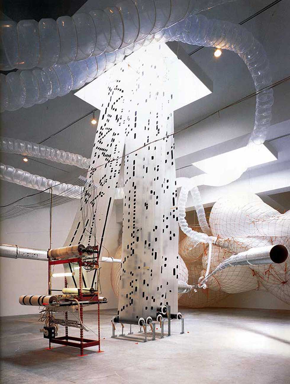 Forest Gospel: Tim Hawkinson