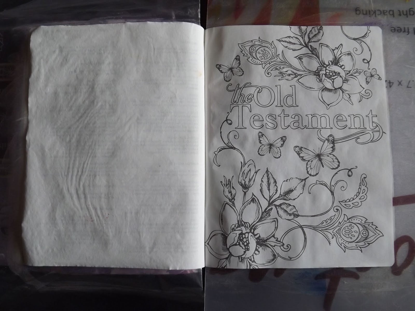 Bybel Legkaart: Bible Journaling - Visualizing The Old Testament