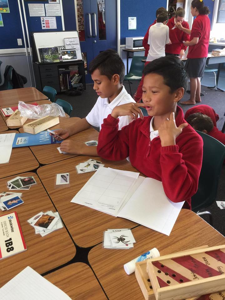 Room 10 Tokoroa Intermediate: Classification