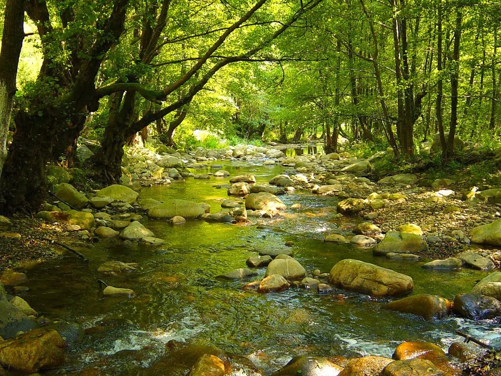 ΤΟ ΠΟΤΑΜΙ, ΑΝΤΩΝΗΣ ΣΑΜΑΡΑΚΗΣ