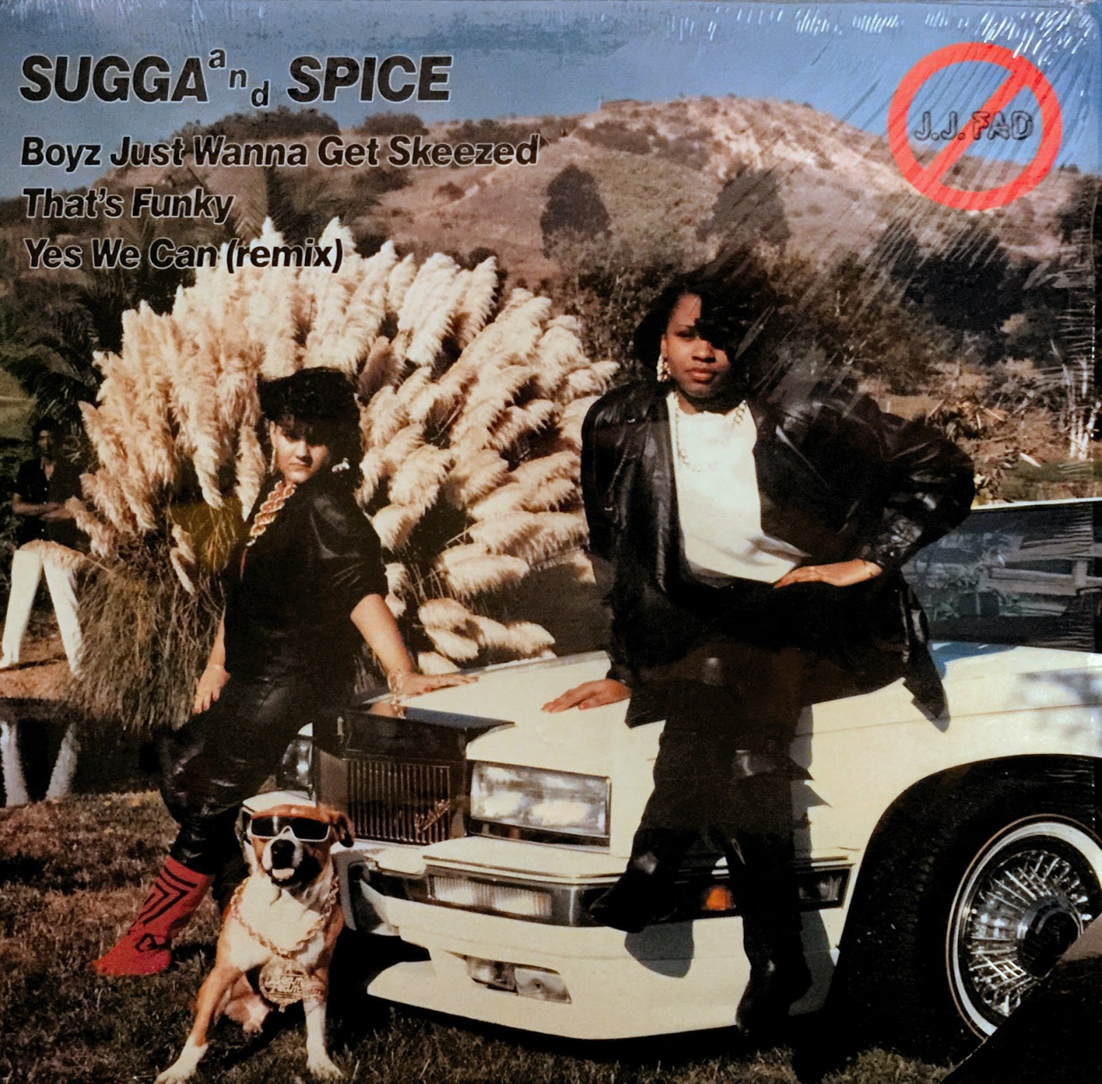 Werner von Wallenrod's Humble, Little Hip-Hop Blog: Sugga and Spice and ...