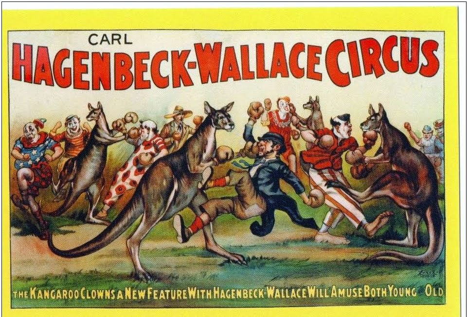 50 YEARS AROUND THE WORLD: KOOKA’S, KOALAS AND KANGAROOS