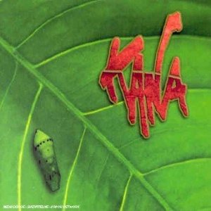 C'est fini: Kana Reggae