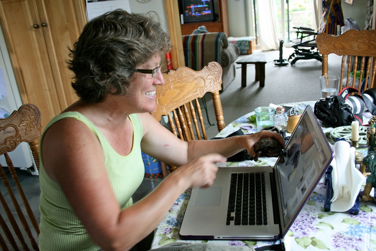 Julie Zickefoose on Blogspot: Shelly Comes Home