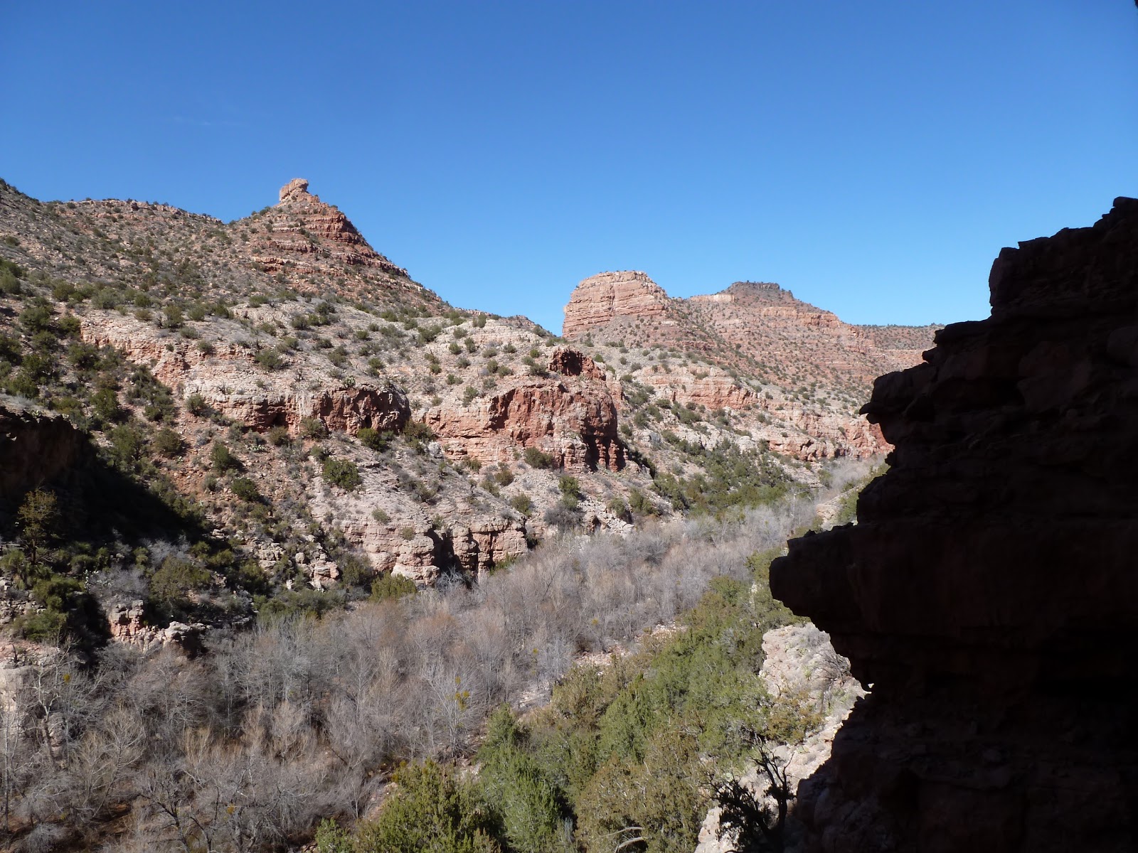 The Continuing Adventures of Eric, Noelle and Sierra: Coconino National ...