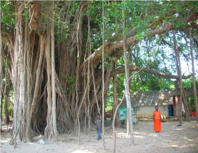 Top 10 places to see near Pondicherry | My Travelogue - Indian Travel ...