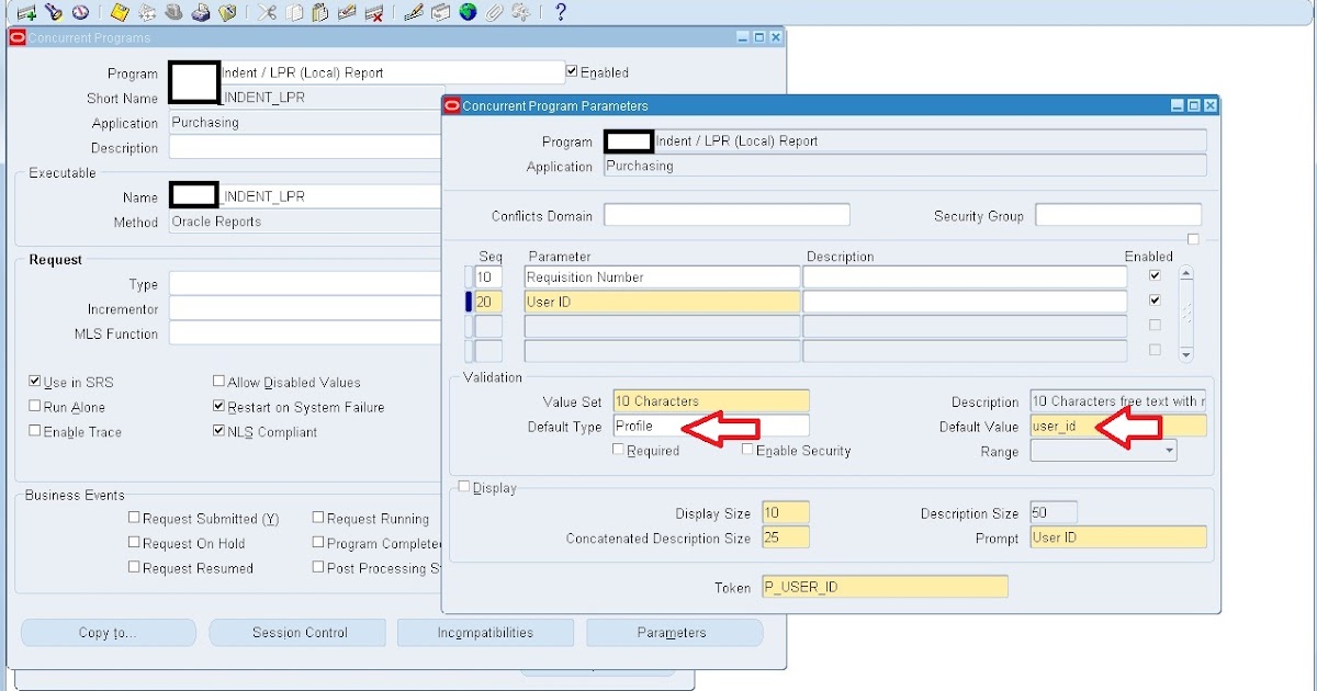 My Oracle World How To Use Profile Value In Report Integration In Oracle Apps