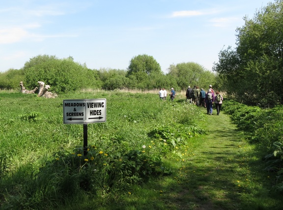 The RSPB Liverpool Local Group: Woolston Eyes nature reserve 26 May