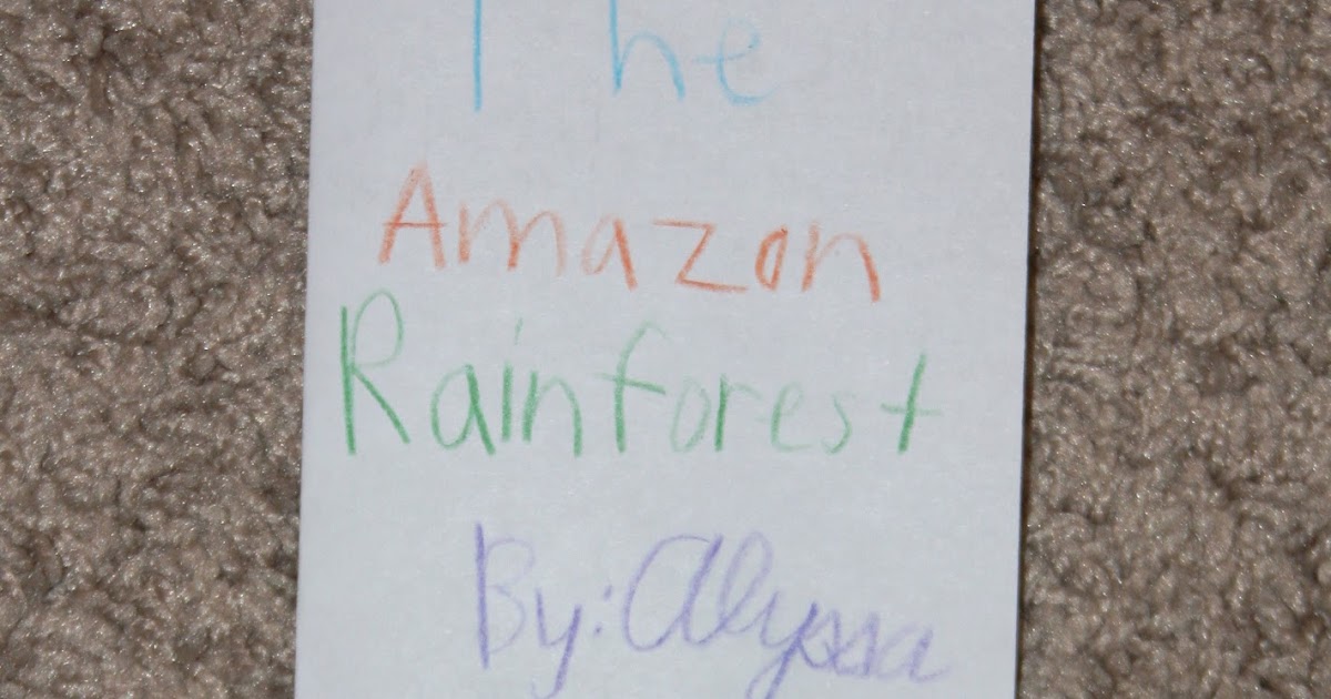 A Learning Journey: Amazon Rainforest Brochure Project