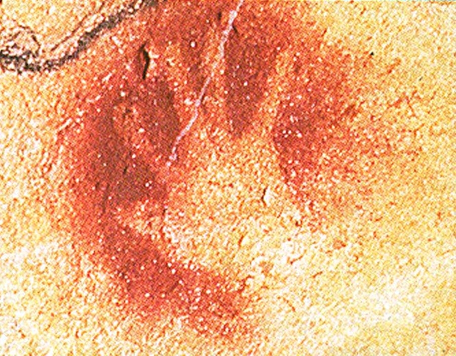 Lascaux Cave Paintings Hand Prints