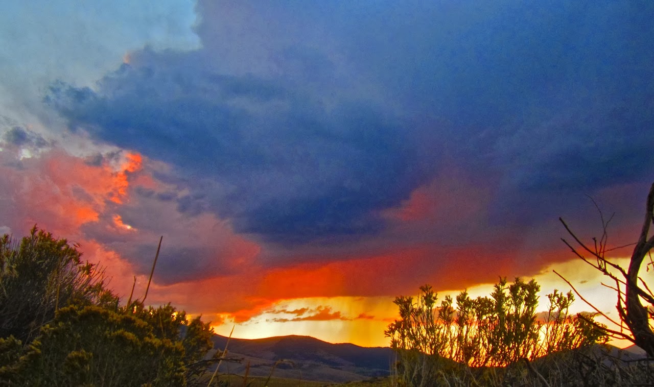 EcoRover: Bow Hunting for Elk in Southwest Montana