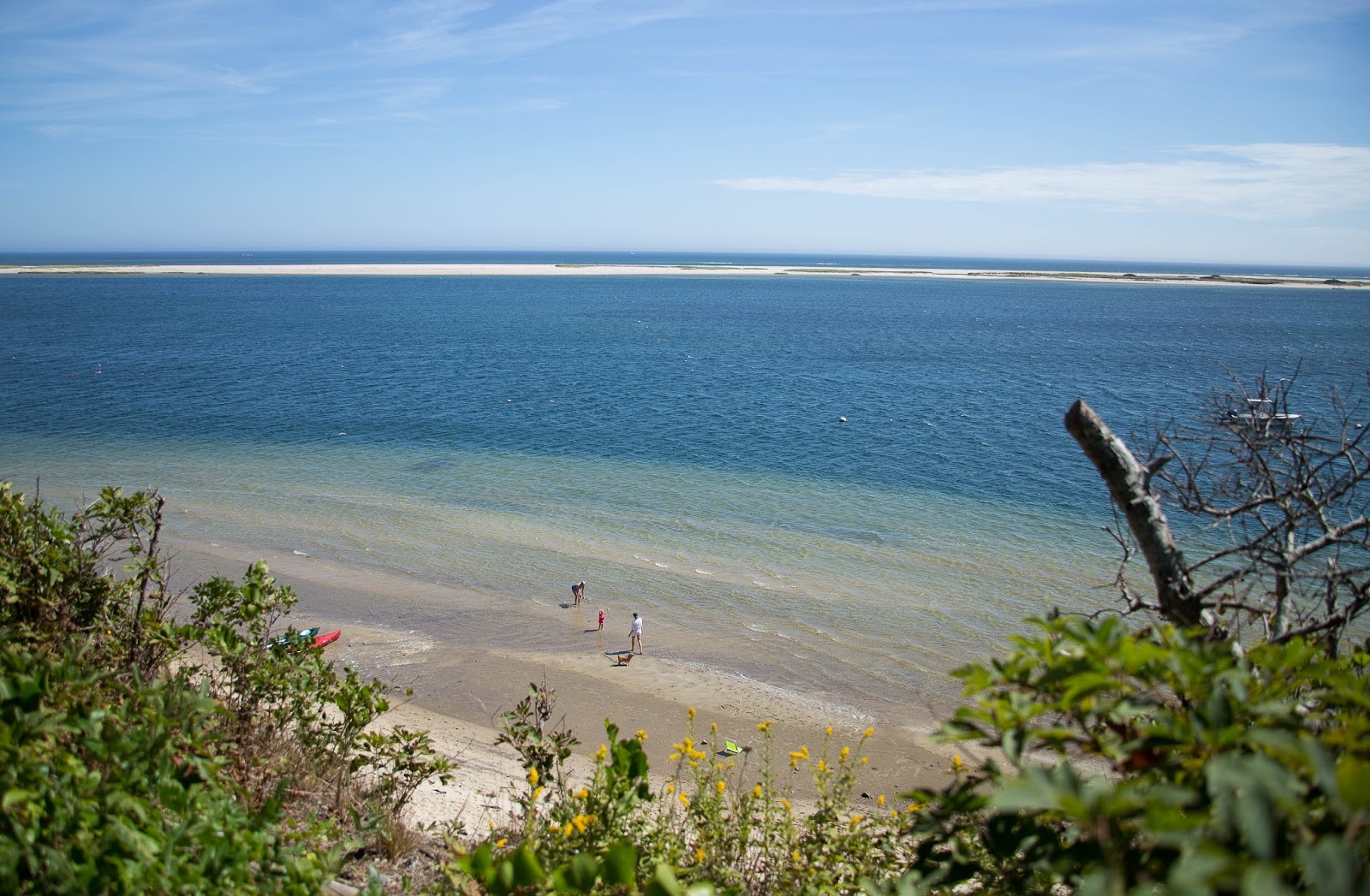 vorace.: Open Faced Egg & Veggie Sami