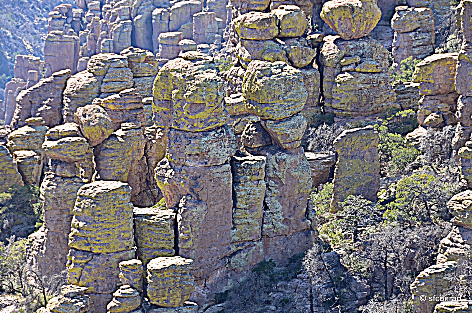 PUPPY PATHS - RVing Full-Time: Chiricahua National Monument, Arizona