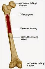 AKTIVITAS ILMIAH 3.1