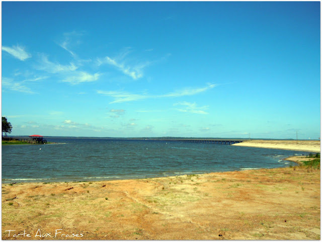 Tarte Aux Fraises: Pendleton Bridge and Toledo Bend Lake