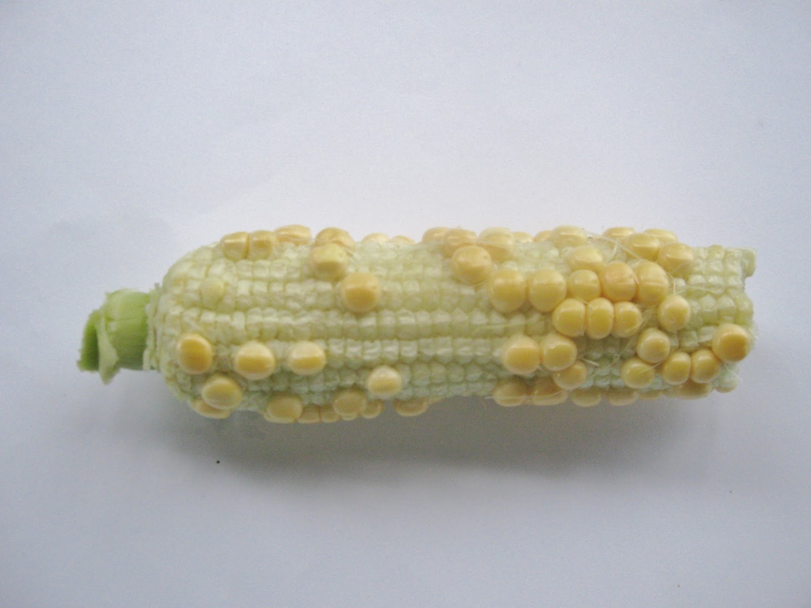 Garden Guy Hawaii: Growing Corn in the Tropics