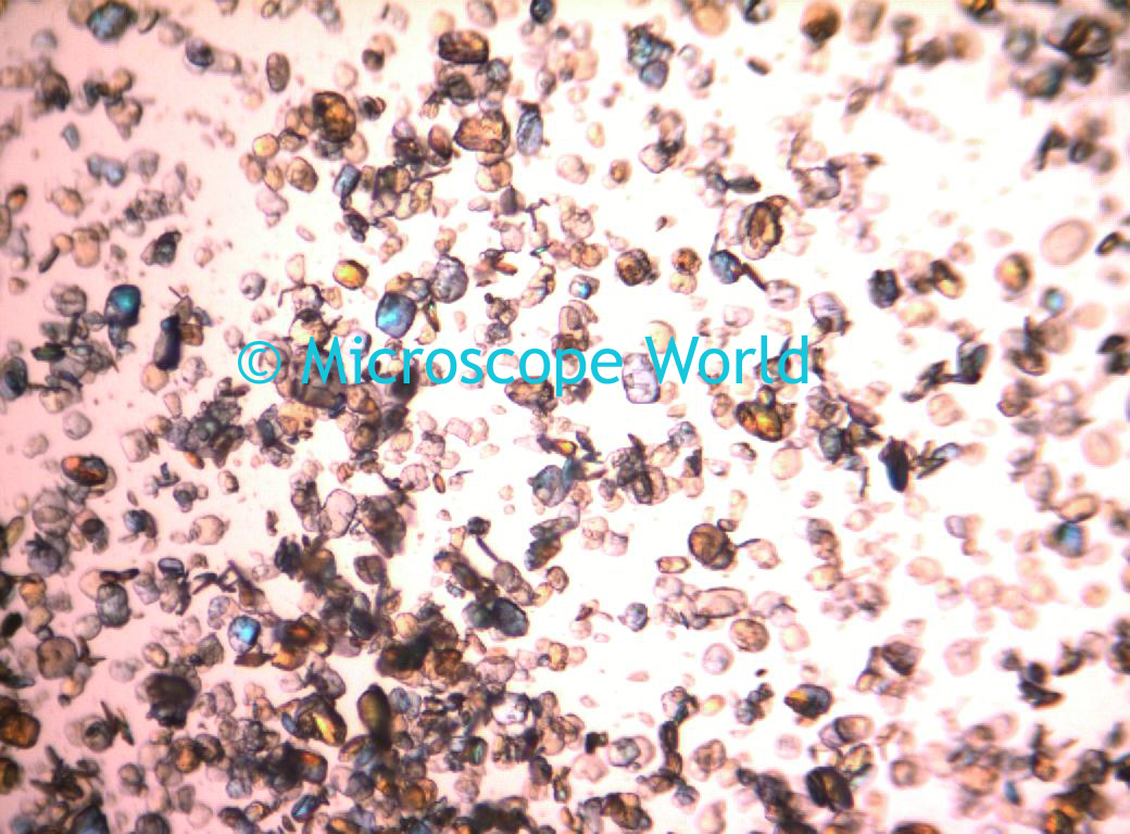 Microscope World Blog: Gypsum under Polarizing Microscope