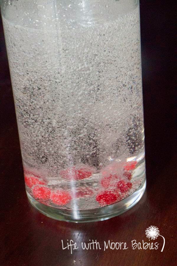 Make Blueberries Dance with this Simple Science - Life with Moore Babies