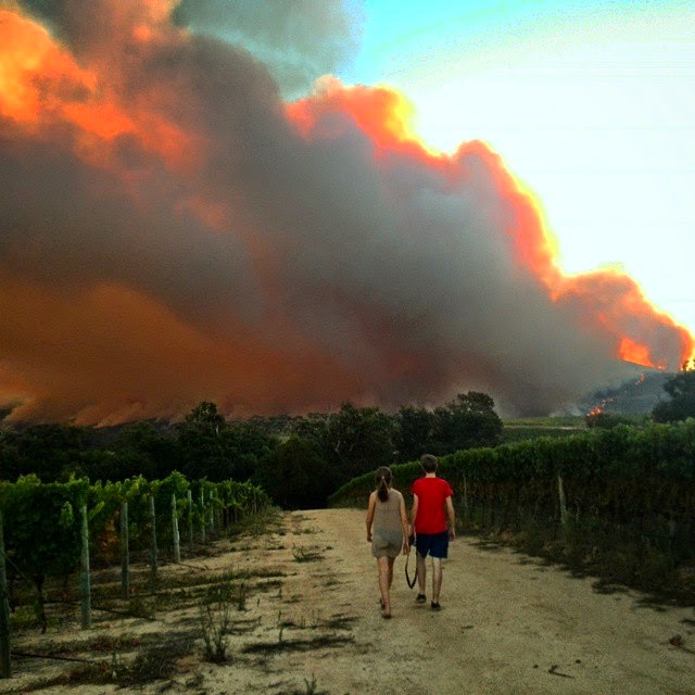 66 Square Feet (Plus): Cape Town is burning