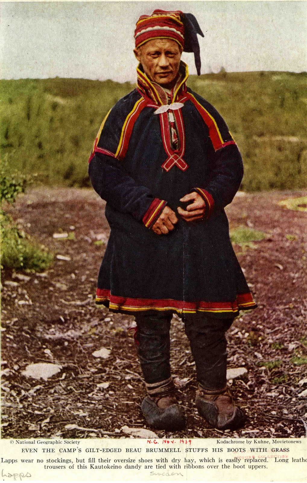 A is for Aye-Aye: An Abecedarian Adventure: A Looming Laplander Guards ...